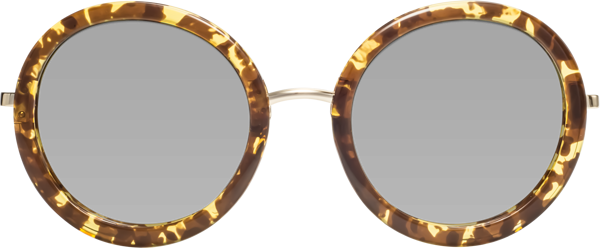 Transparent Tortoise Geek-Chic Oversized Round Tinted Sunglasses with ...