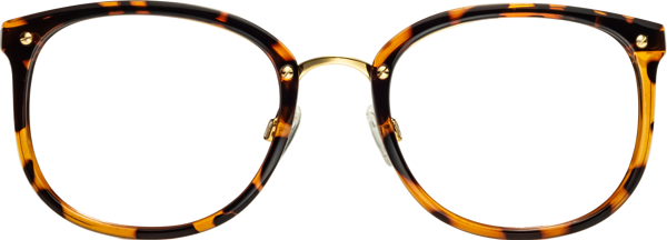 Tortoise/Golden Grandpa Oversized Butterfly Eyeglasses - Timeless