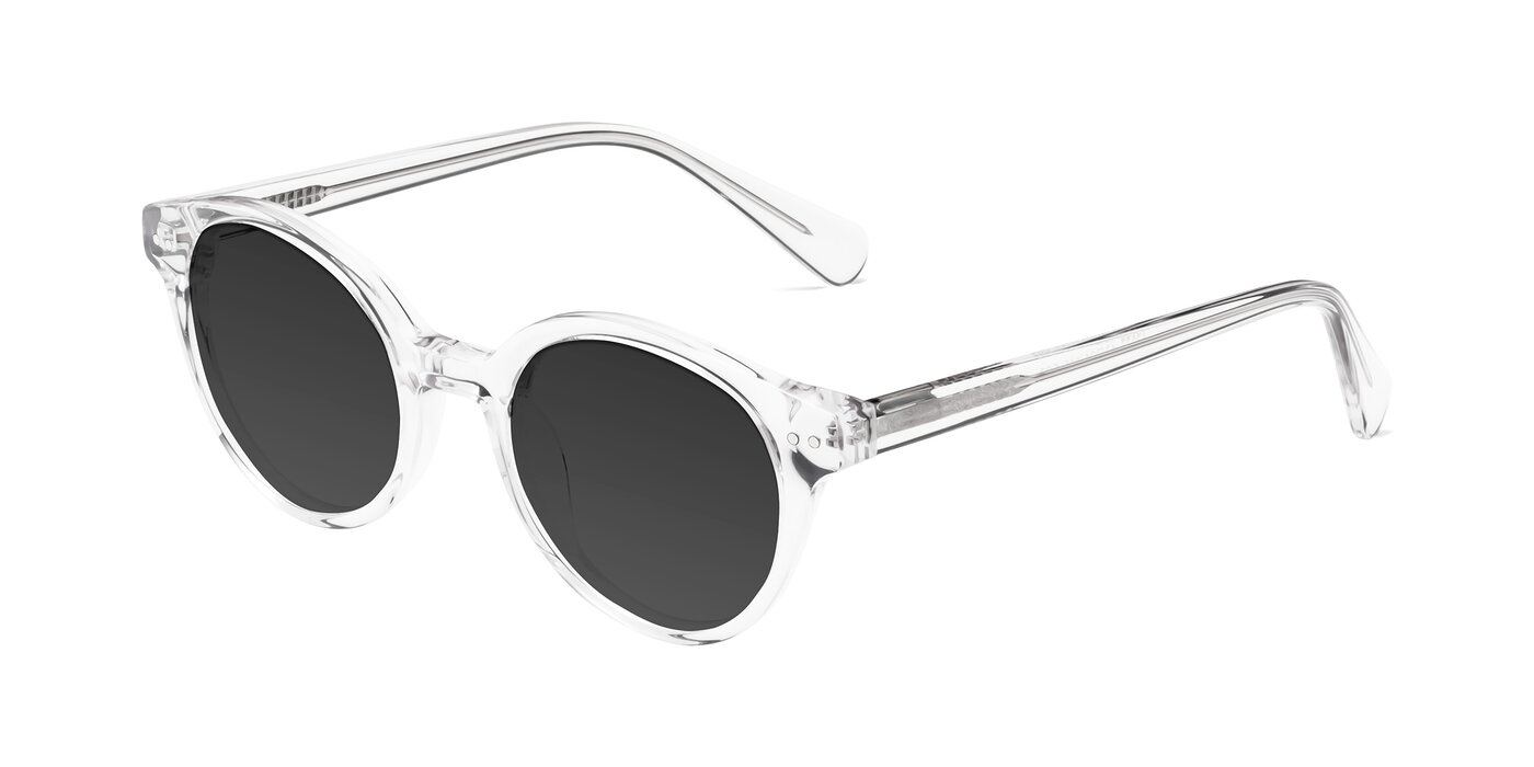 Clear Narrow Horn-Rimmed Round Tinted Sunglasses with Gray Sunwear ...