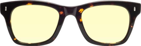 Tortoise Brown Geek-Chic Thick Square Tinted Sunglasses with Light ...