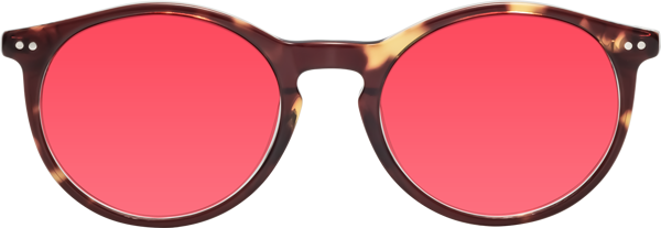 Tortoise/Clear Narrow Acetate Trapezoid Tinted Sunglasses with Red ...