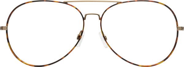 Tortoise Oversized Grandpa Aviator Eyeglasses - Paradise