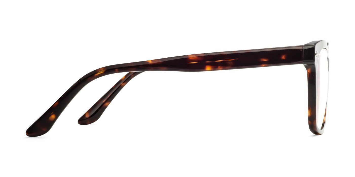 Tortoise Wide Horn-Rimmed Acetate Eyeglasses - 1052