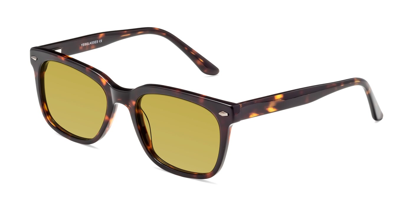 Tortoise Wide Horn-Rimmed Acetate Tinted Sunglasses with Champagne ...