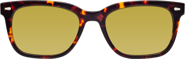 Red Tortoise Medium Thick Acetate Tinted Sunglasses with Champagne ...