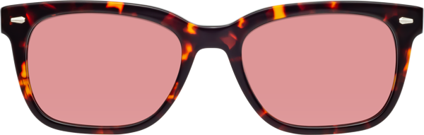 Red Tortoise Medium Thick Acetate Tinted Sunglasses with Medium Garnet ...