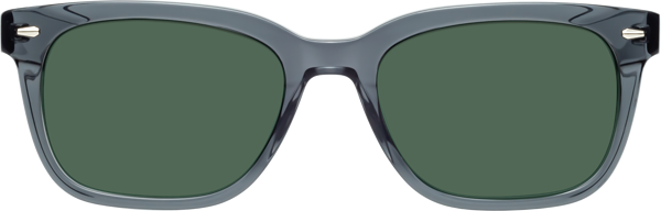 Transparent Gray Medium Thick Acetate Polarized Sunglasses with Green ...