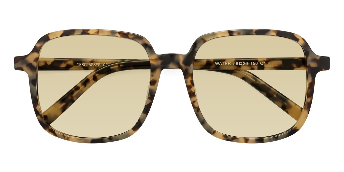 Ivory Tortoise Oversized Acetate Square Tinted Sunglasses with Light ...