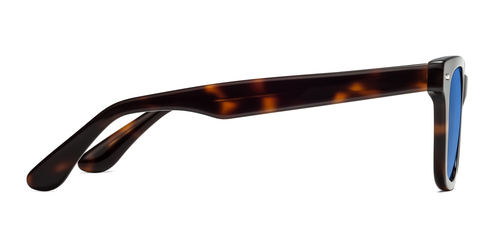 Tortoise Medium Thick Trapezoid Tinted Sunglasses with Blue Sunwear ...