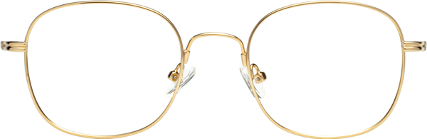 Gold Classic Flexible Metal Eyeglasses - Roots