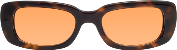 Tortoise Thick Hipster Rectangle Tinted Sunglasses with Medium Orange ...