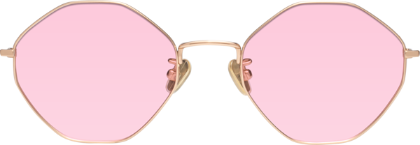 Rose Gold Hipster Titanium Geometric Tinted Sunglasses with Light Pink ...