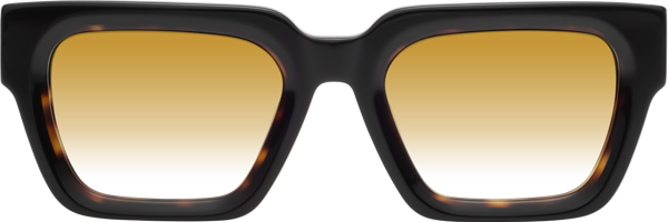 Tortoise Hipster Acetate Square Gradient Sunglasses with Champagne ...