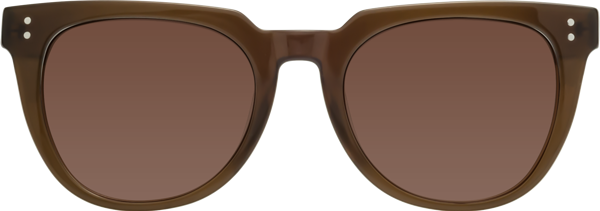 Coffee Hipster Acetate Geometric Tinted Sunglasses with Brown Sunwear ...