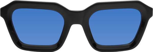 Black Horn-Rimmed Acetate Geometric Tinted Sunglasses with Blue Sunwear ...