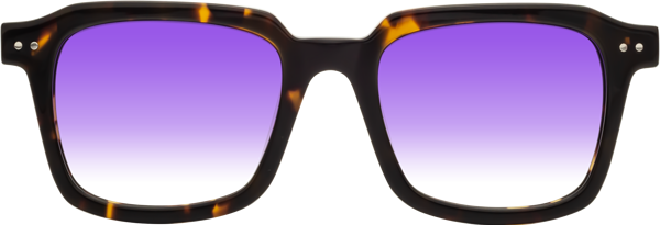 Tortoise Bifocal & Progressive Acetate Square Gradient Sunglasses with ...