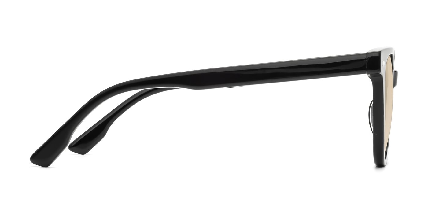Black Wayfarer Spring Hinges Acetate Tinted Sunglasses with Light Brown ...