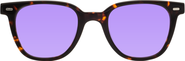 Tortoise Spring Hinges Acetate Trapezoid Tinted Sunglasses with Medium ...