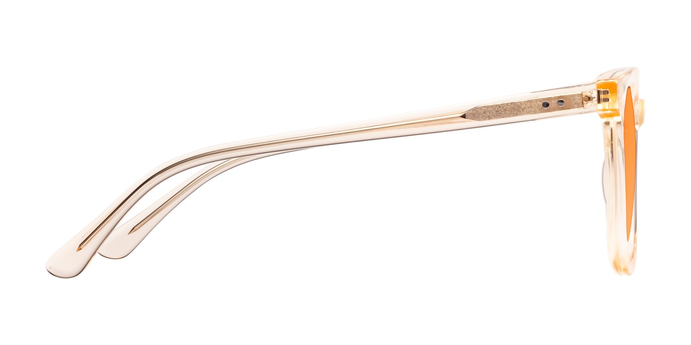 Translucent Brown Oversized Acetate Trapezoid Tinted Sunglasses with ...