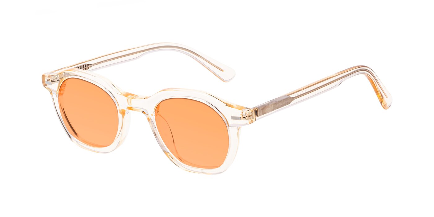 Translucent Brown Geek-Chic Acetate Geometric Tinted Sunglasses with ...