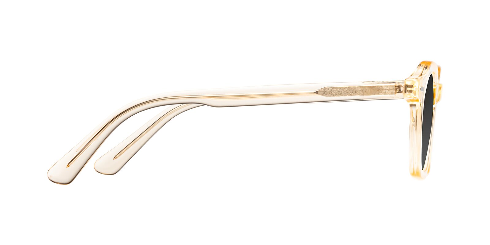 Translucent Brown Geek-Chic Acetate Geometric Tinted Sunglasses with ...