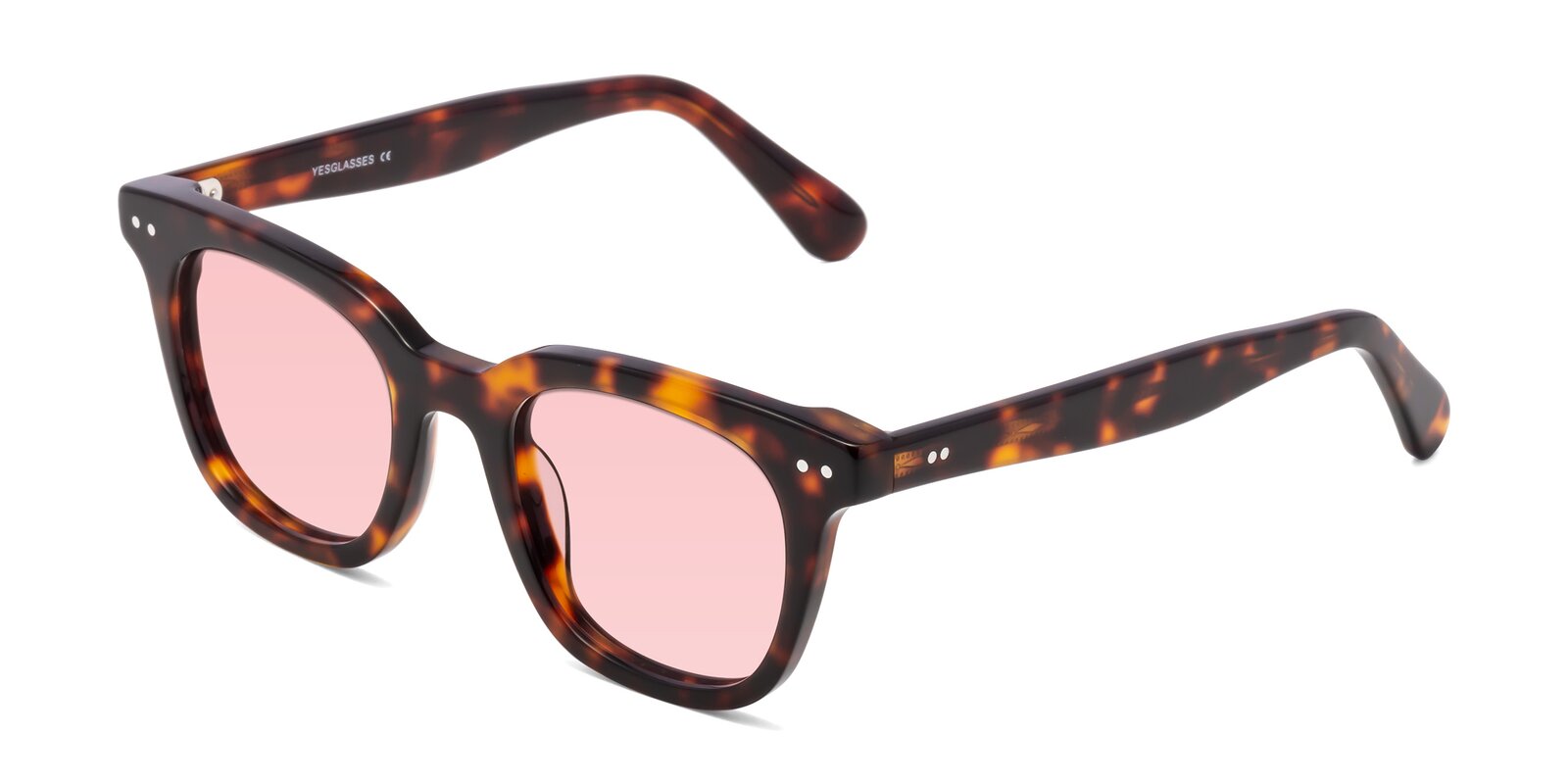 Tortoise Classic Acetate Trapezoid Tinted Sunglasses with Light Garnet ...