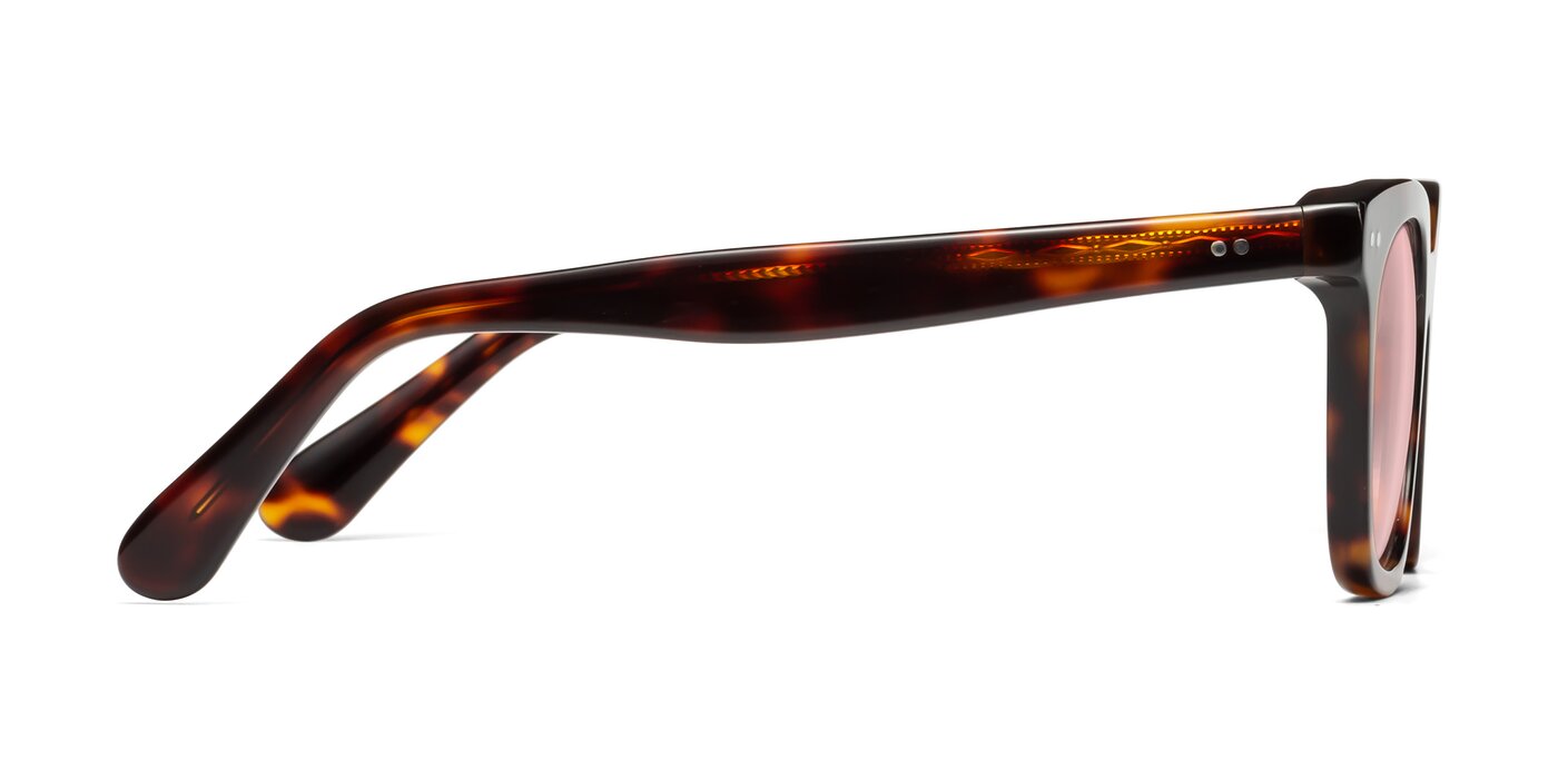 Tortoise Classic Acetate Trapezoid Tinted Sunglasses with Light Garnet ...