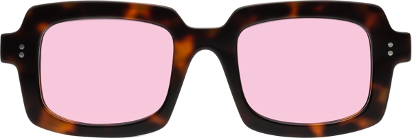 Tortoise Medium Geek-Chic Rectangle Tinted Sunglasses with Light Pink ...