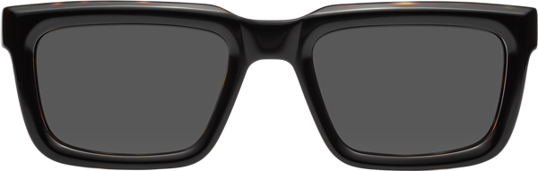 Black/Tortoise Thick Acetate Rectangle Tinted Sunglasses with Medium ...