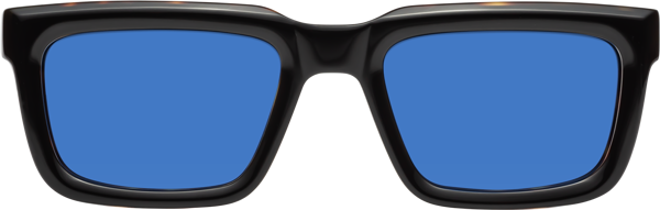 Black/Tortoise Thick Acetate Rectangle Tinted Sunglasses with Blue ...