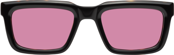 Black/Tortoise Thick Acetate Rectangle Tinted Sunglasses with Medium ...