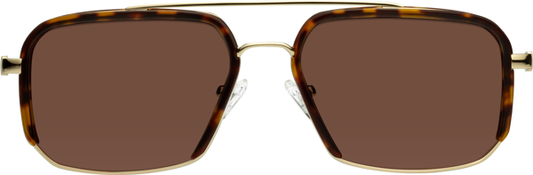 Tortoise/Gold Retro-Vintage Aviator Rectangle Tinted Sunglasses with ...