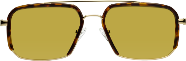 Tortoise/Gold Retro-Vintage Aviator Rectangle Tinted Sunglasses with ...