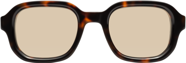 Tortoise Hipster Geek-Chic Square Tinted Sunglasses with Light Brown ...