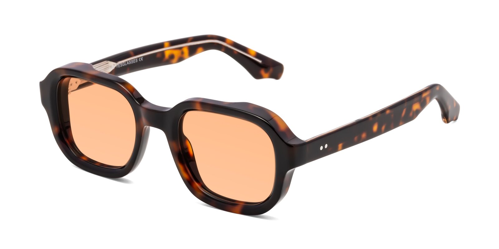 Tortoise Hipster Geek-Chic Square Tinted Sunglasses with Light Orange ...