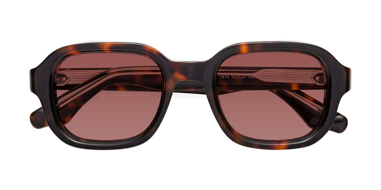 Tortoise Hipster Geek-Chic Square Tinted Sunglasses with Garnet Sunwear ...