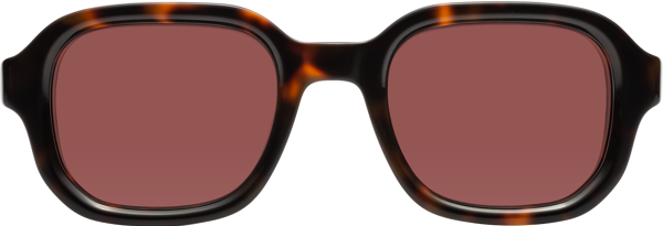 Tortoise Hipster Geek-Chic Square Tinted Sunglasses with Garnet Sunwear ...