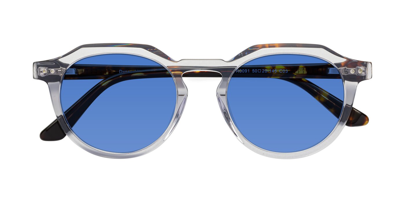 Transparent Livid/Tortoise Keyhole Bridge Acetate Geometric Tinted ...
