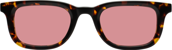 Tortoise Classic Acetate Rectangle Tinted Sunglasses with Medium Garnet ...