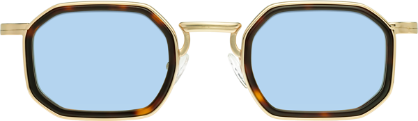 Tortoise/Gold Retro-Vintage Rectangle Geometric Tinted Sunglasses with ...