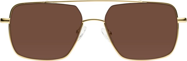 Gold Double Bridge Metal Geometric Tinted Sunglasses with Brown Sunwear ...