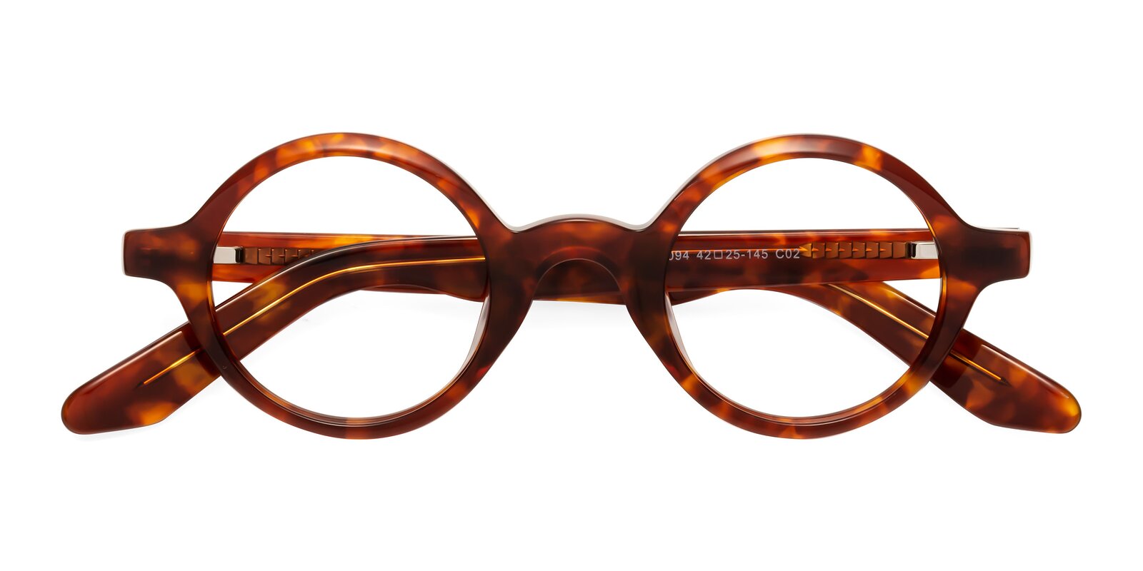 Tortoise Retro-Vintage Acetate Round Eyeglasses - School