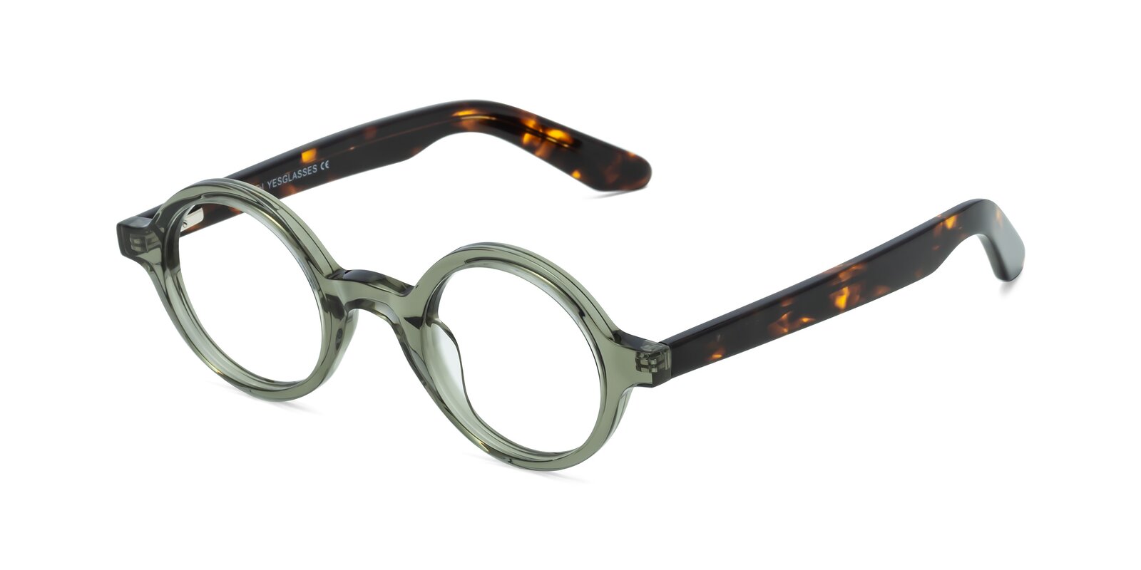 Green/Tortoise Retro-Vintage Acetate Round Eyeglasses - School