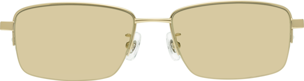 Gold Classic Rectangle Semi-Rimless Tinted Sunglasses with Light ...