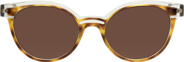 Brown Tortoise Hipster Acetate Cat-Eye Tinted Sunglasses with Brown ...