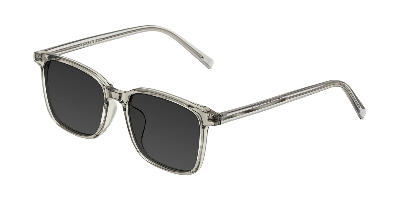 Translucent Gray Classic TR90 Rectangle Tinted Sunglasses with Gray ...