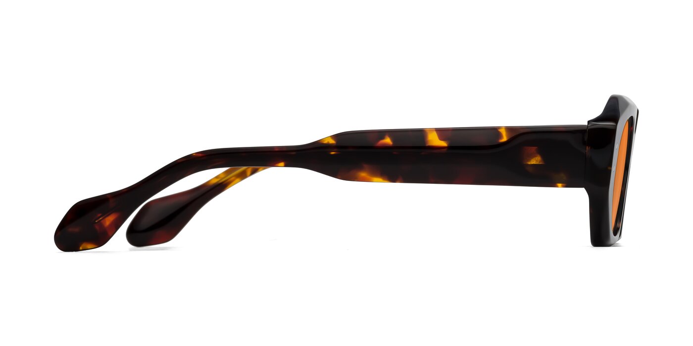 Tortoise Thick Geek-Chic Geometric Tinted Sunglasses with Orange ...