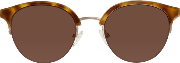 Tortoise/Gold Narrow Round Semi-Rimless Tinted Sunglasses with Brown ...