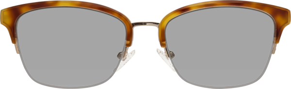 Tortoise/Gold Retro-Vintage Oval Semi-Rimless Tinted Sunglasses with ...