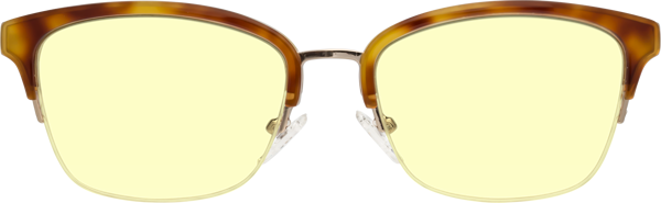 Tortoise/Gold Retro-Vintage Oval Semi-Rimless Tinted Sunglasses with ...